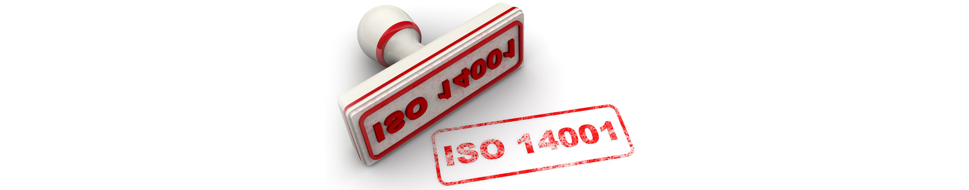 SHEQ Management Services